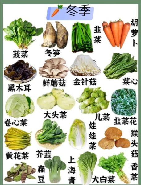 蔬菜图片大全大图真实_如何辨别蔬菜新鲜度-第2张图片-山城妙识 蔬菜图片大全大图真实_如何辨别蔬菜新鲜度-第2张图片-山城妙识