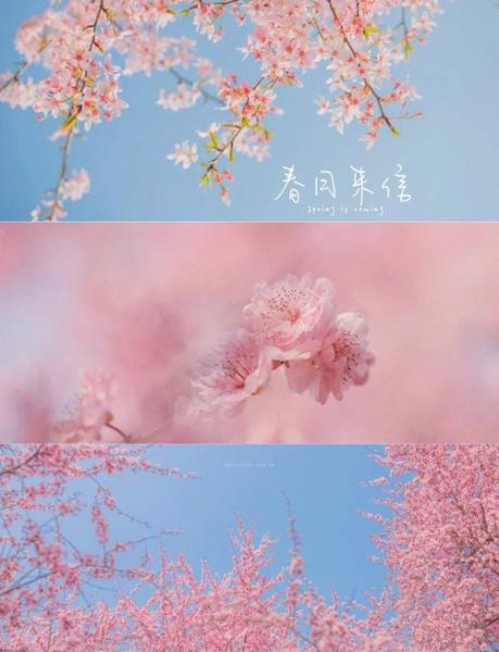 春季图片怎么拍好看_春季图片拍摄技巧-第3张图片-山城妙识