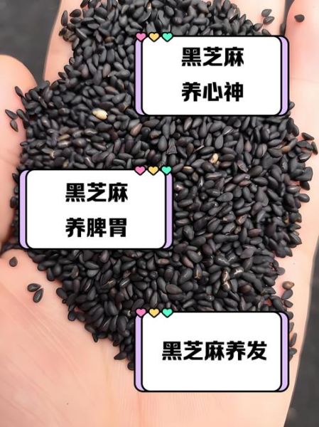 炒黑芝麻的功效与作用及禁忌_什么人不能吃-第2张图片-山城妙识 炒黑芝麻的功效与作用及禁忌_什么人不能吃-第2张图片-山城妙识