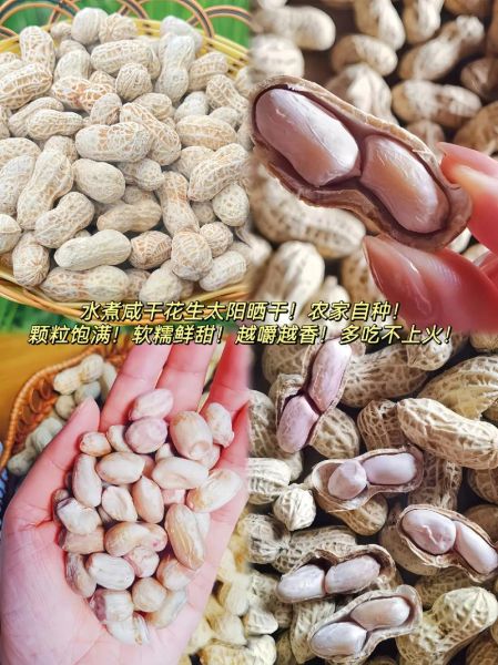 干花生煮之前要泡吗_干花生泡多久才软-第3张图片-山城妙识 干花生煮之前要泡吗_干花生泡多久才软-第3张图片-山城妙识