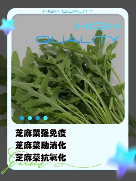 芝麻菜什么时候种_芝麻菜怎么种才高产-第3张图片-山城妙识