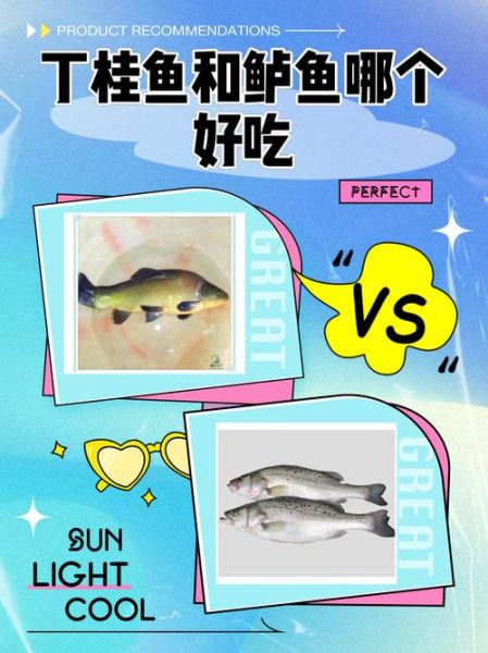 丁桂鱼用什么饵料钓_丁桂鱼饵料配方大全-第3张图片-山城妙识