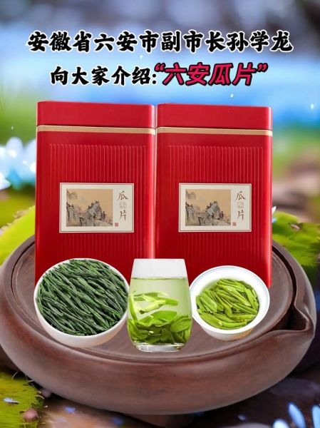 六安瓜片茶叶多少钱一斤_六安瓜片价格表2024-第1张图片-山城妙识