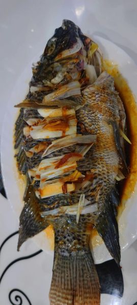 清蒸罗非鱼怎么蒸不腥_清蒸罗非鱼的做法大全-第3张图片-山城妙识