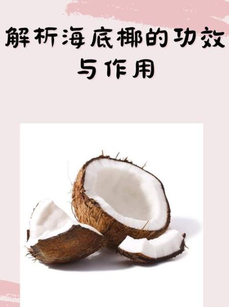海底椰与什么相克_食用禁忌全解析-第1张图片-山城妙识 海底椰与什么相克_食用禁忌全解析-第1张图片-山城妙识