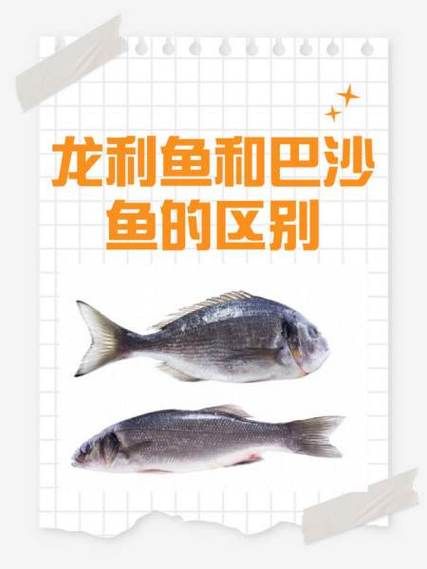 龙利鱼为什么便宜_龙利鱼是巴沙鱼吗-第1张图片-山城妙识