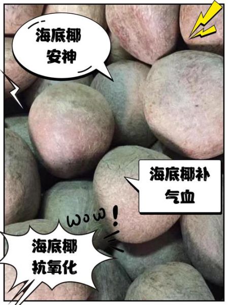 海底椰与什么相克_食用禁忌全解析-第2张图片-山城妙识 海底椰与什么相克_食用禁忌全解析-第2张图片-山城妙识
