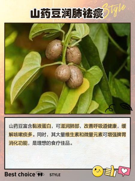 山药豆怎么去皮_山药豆去皮最快的方法-第3张图片-山城妙识