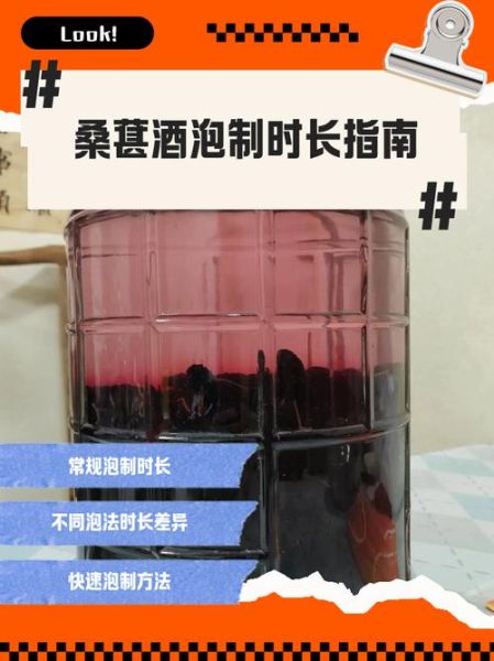 桑葚酒的做法比例是多少_桑葚酒泡多久能喝-第2张图片-山城妙识