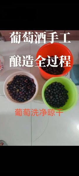 新鲜葡萄怎样酿酒_家庭自酿葡萄酒步骤-第3张图片-山城妙识