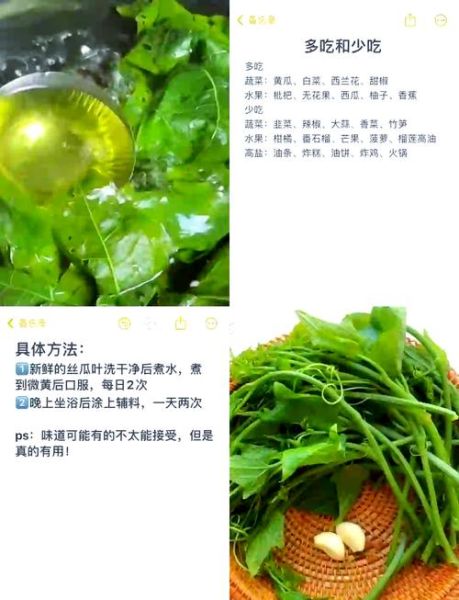 丝瓜叶的功效与禁忌_哪些人不能吃-第1张图片-山城妙识