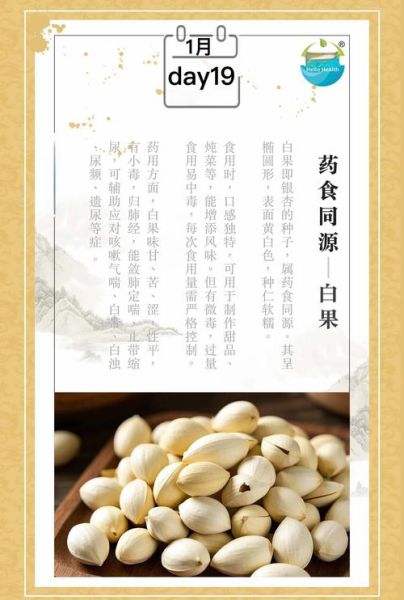 新鲜白果的功效与作用_新鲜白果怎么吃最好-第3张图片-山城妙识