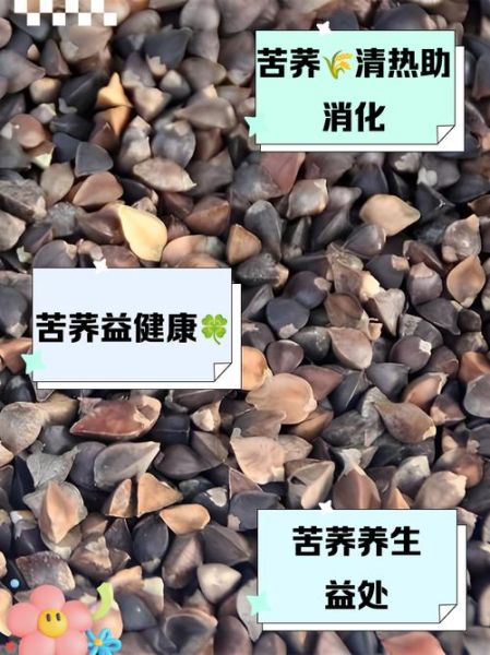 常吃苦荞麦危害_苦荞麦副作用有哪些-第3张图片-山城妙识