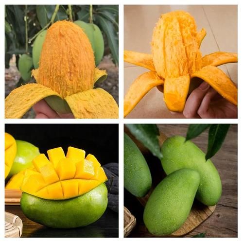 水果之王排行榜前10名_哪种水果营养价值最高-第2张图片-山城妙识