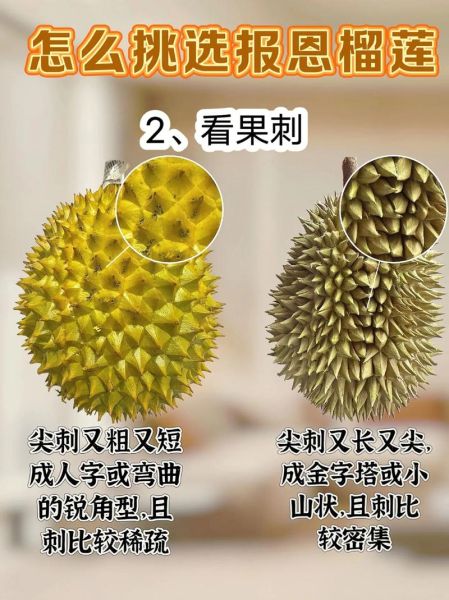 水果之王排行榜前10名_哪种水果营养价值最高-第1张图片-山城妙识