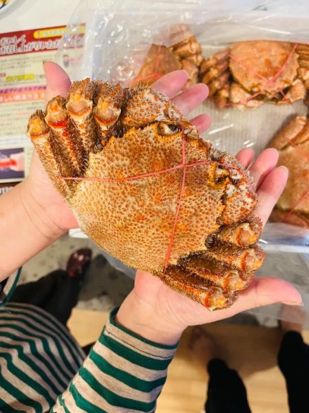 日本毛蟹哪里买_日本毛蟹多少钱一斤-第1张图片-山城妙识