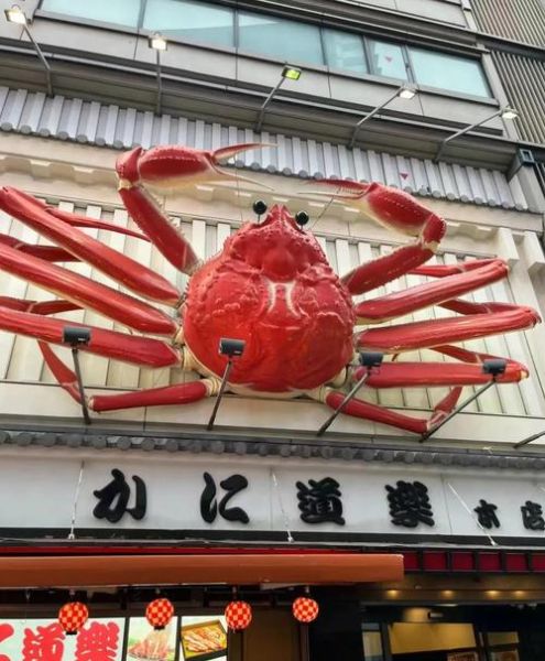 日本毛蟹哪里买_日本毛蟹多少钱一斤-第2张图片-山城妙识