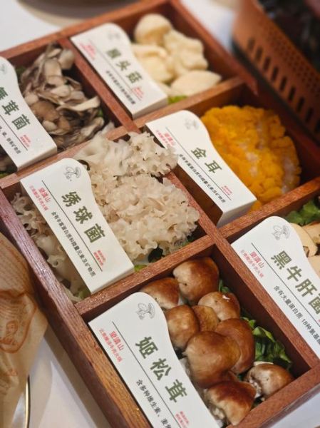 养生火锅店怎么选_养生火锅底料有哪些-第3张图片-山城妙识