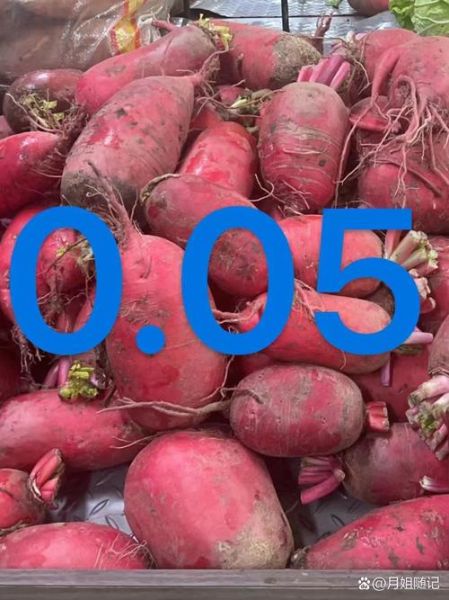 胡萝卜多少钱一斤_胡萝卜价格为什么波动-第2张图片-山城妙识