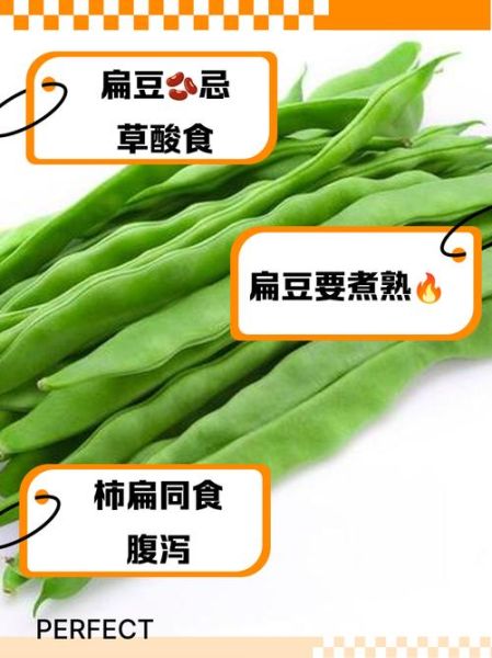 扁豆不能和什么一起吃_六种相克食物全解析-第3张图片-山城妙识 扁豆不能和什么一起吃_六种相克食物全解析-第3张图片-山城妙识