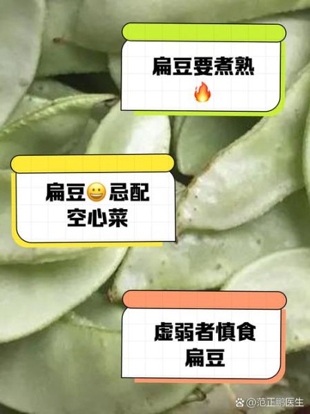 扁豆不能和什么一起吃_六种相克食物全解析-第2张图片-山城妙识 扁豆不能和什么一起吃_六种相克食物全解析-第2张图片-山城妙识