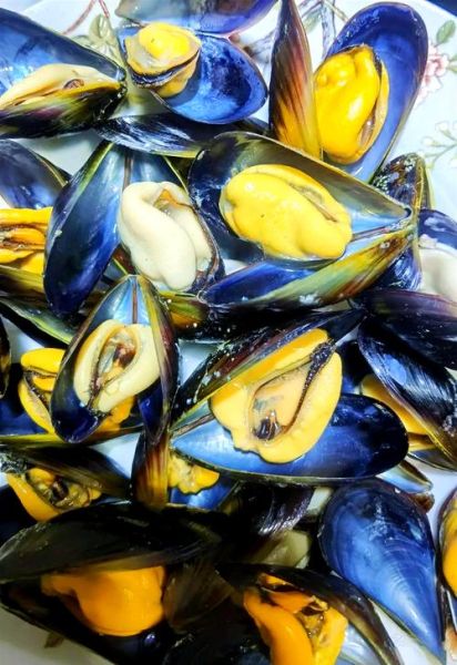 女人吃海虹好尴尬_海虹吃了会胖吗-第1张图片-山城妙识 女人吃海虹好尴尬_海虹吃了会胖吗-第1张图片-山城妙识