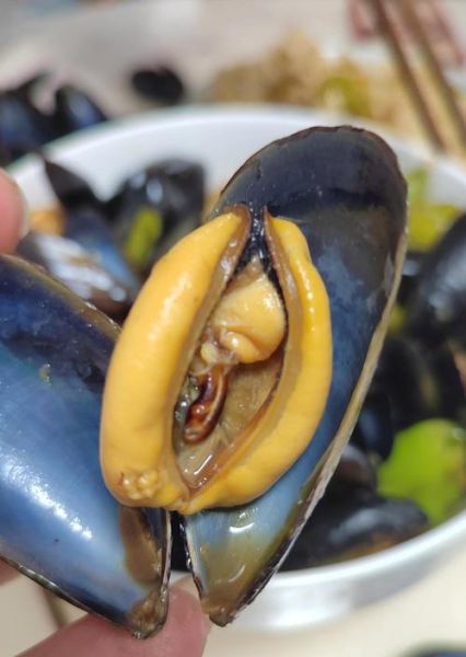 女人吃海虹好尴尬_海虹吃了会胖吗-第2张图片-山城妙识 女人吃海虹好尴尬_海虹吃了会胖吗-第2张图片-山城妙识