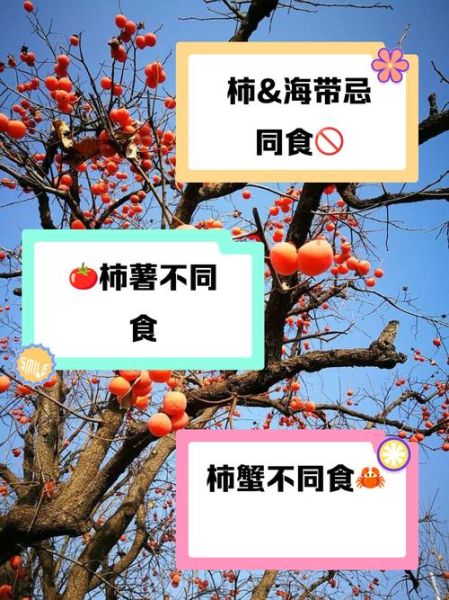 柿子不能和什么一起吃_相克食物全解析-第3张图片-山城妙识