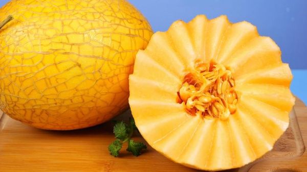 哈密瓜视频怎么下载_哈密瓜视频会员值得开吗-第1张图片-山城妙识