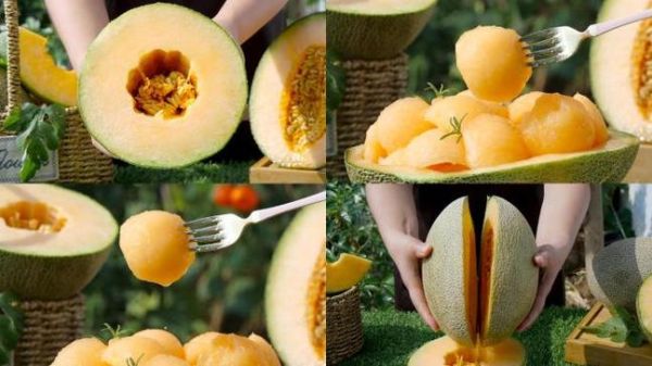 哈密瓜视频怎么下载_哈密瓜视频会员值得开吗-第3张图片-山城妙识