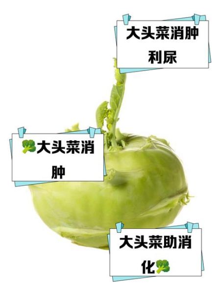 大头菜的功效与作用_大头菜怎么吃最健康-第2张图片-山城妙识