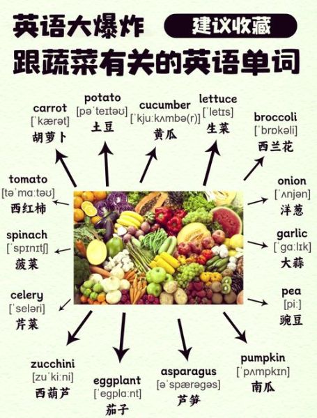 what_are_the_english_names_of_common_vegetables-第1张图片-山城妙识