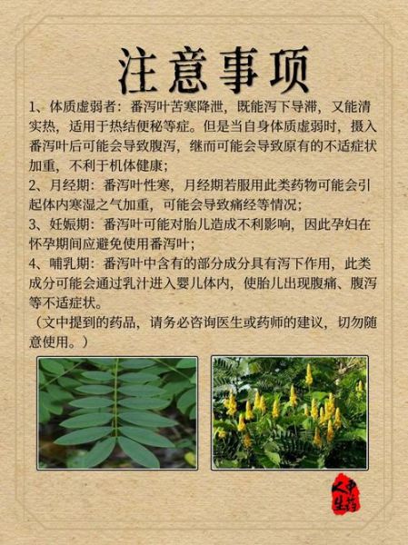 番泻叶多久见效_番泻叶多久可以拉干净-第1张图片-山城妙识