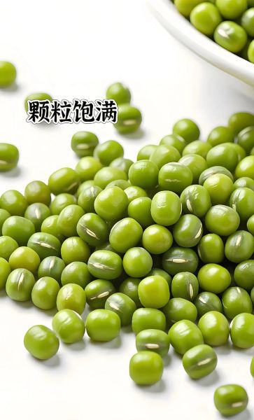 绿豆汤怎么熬是绿色的_绿豆汤如何保持翠绿-第3张图片-山城妙识