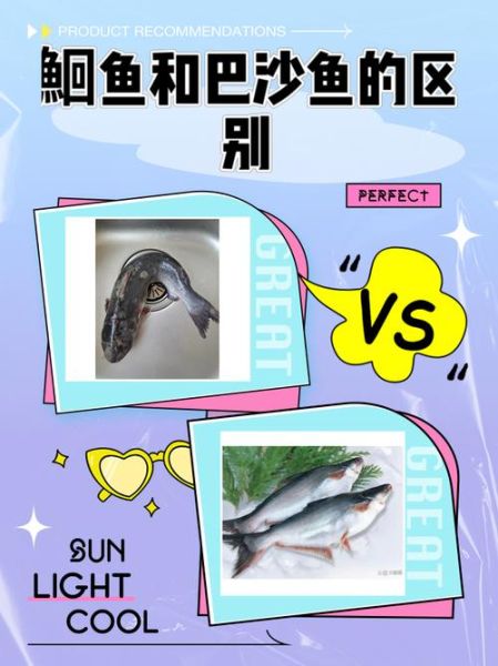 巴沙鱼是鲶鱼吗_巴沙鱼与鲶鱼的区别-第1张图片-山城妙识