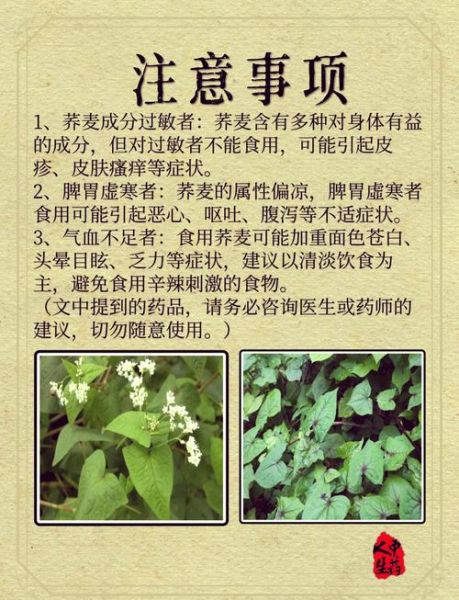 荞麦的功效与作用禁忌_荞麦怎么吃才健康-第2张图片-山城妙识 荞麦的功效与作用禁忌_荞麦怎么吃才健康-第2张图片-山城妙识