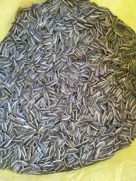 葵花籽价格最新行情_今日多少钱一斤-第2张图片-山城妙识 葵花籽价格最新行情_今日多少钱一斤-第2张图片-山城妙识