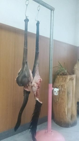 金钱肉是哪个部位_金钱肉口感如何-第2张图片-山城妙识 金钱肉是哪个部位_金钱肉口感如何-第2张图片-山城妙识