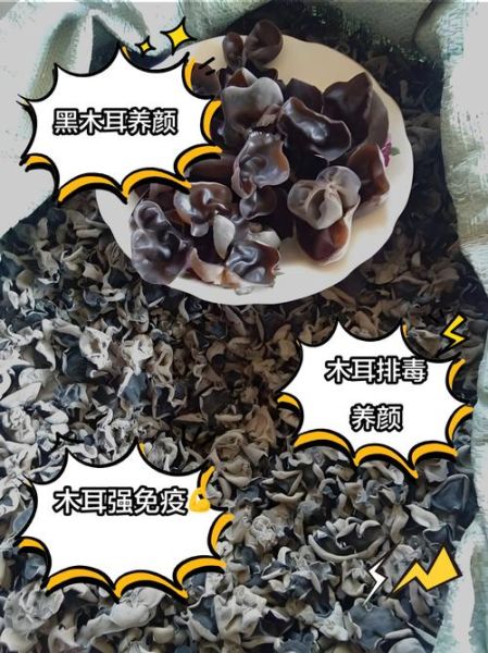常吃黑木耳有什么好处_黑木耳能降胆固醇吗-第1张图片-山城妙识 常吃黑木耳有什么好处_黑木耳能降胆固醇吗-第1张图片-山城妙识