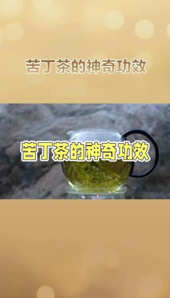 苦丁茶降血压吗_苦丁茶怎么喝才有效-第3张图片-山城妙识