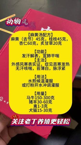 感冒了炖什么汤比较好_风寒风热怎么区分-第2张图片-山城妙识 感冒了炖什么汤比较好_风寒风热怎么区分-第2张图片-山城妙识
