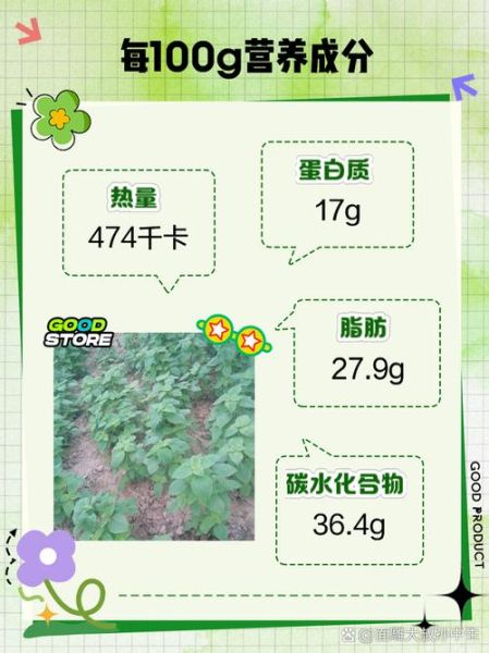 苏子籽的功效与作用_苏子籽怎么吃最好-第1张图片-山城妙识