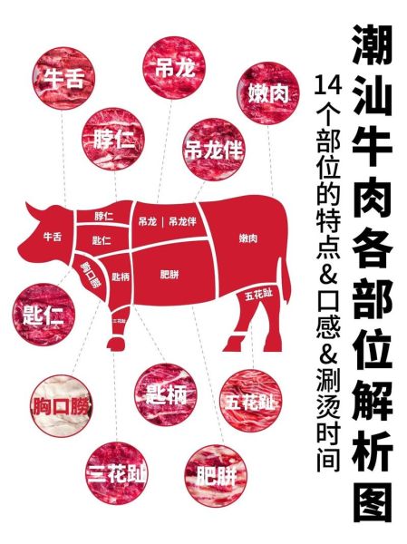 潮汕牛肉部位分割图怎么看_哪个部位涮火锅最嫩-第3张图片-山城妙识