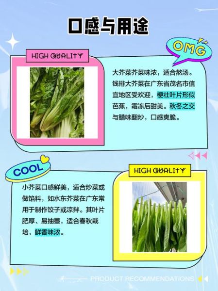 芥菜品种有哪些_芥菜图片怎么区分-第3张图片-山城妙识 芥菜品种有哪些_芥菜图片怎么区分-第3张图片-山城妙识