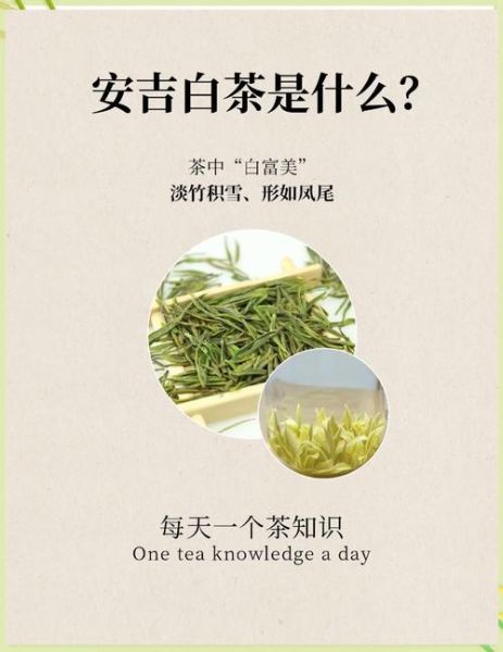 安吉白茶属于什么茶_为什么叫白茶-第1张图片-山城妙识 安吉白茶属于什么茶_为什么叫白茶-第1张图片-山城妙识