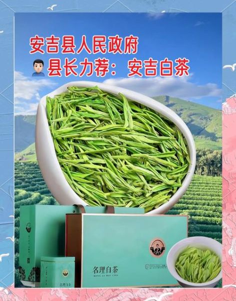 安吉白茶属于什么茶_为什么叫白茶-第3张图片-山城妙识 安吉白茶属于什么茶_为什么叫白茶-第3张图片-山城妙识