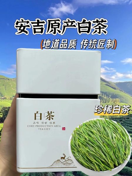 安吉白茶属于什么茶_为什么叫白茶-第2张图片-山城妙识 安吉白茶属于什么茶_为什么叫白茶-第2张图片-山城妙识