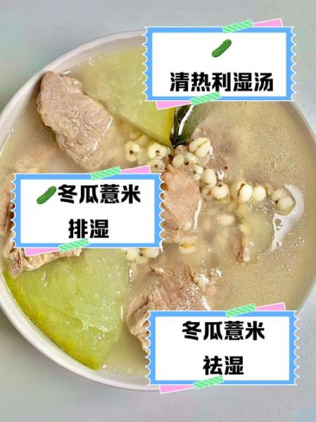 薏米冬瓜排骨汤的功效与作用_孕妇可以喝吗-第2张图片-山城妙识 薏米冬瓜排骨汤的功效与作用_孕妇可以喝吗-第2张图片-山城妙识