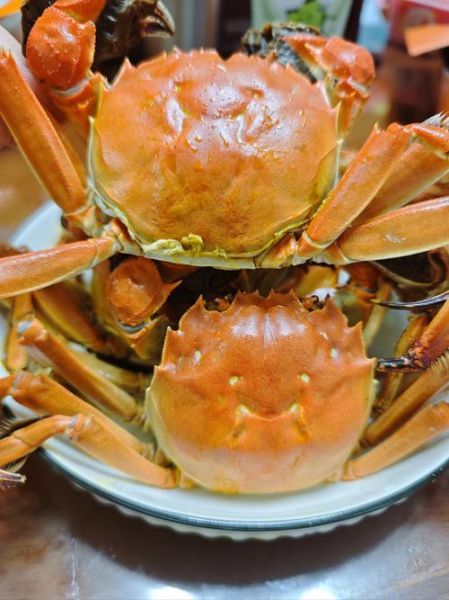 螃蟹什么季节最好吃_大闸蟹最佳品尝月份-第1张图片-山城妙识