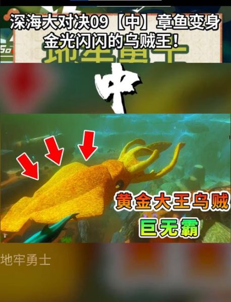 乌贼王配招_乌贼王怎么配招-第3张图片-山城妙识